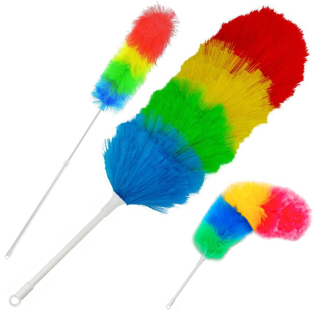 Telescopic dusting brush broom | CATEGORIES \ House \ Brushes and ...